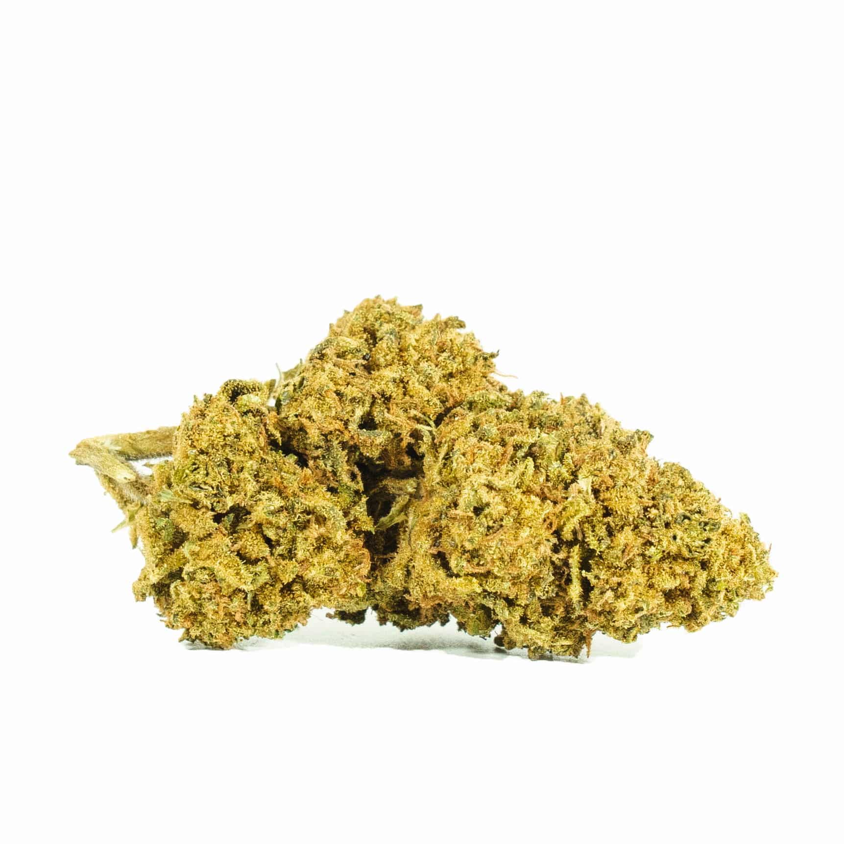 ONLYPACK 5 | OnlyCBDFans