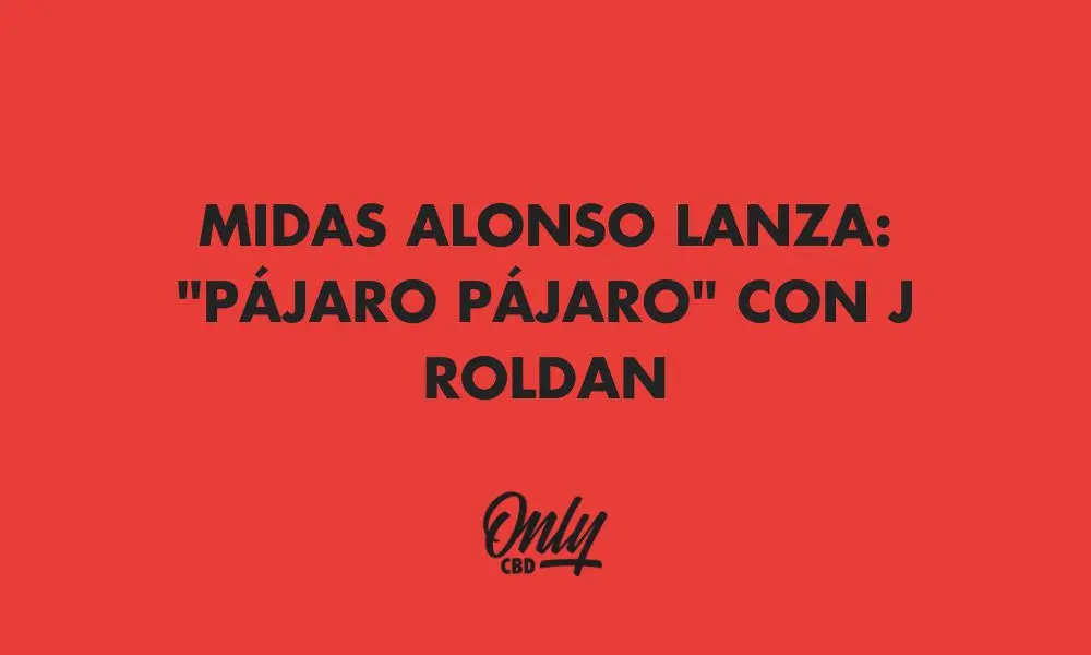 MIDAS ALONSO LANZA: "PÁJARO PÁJARO" CON J ROLDAN | OnlyCBDFans