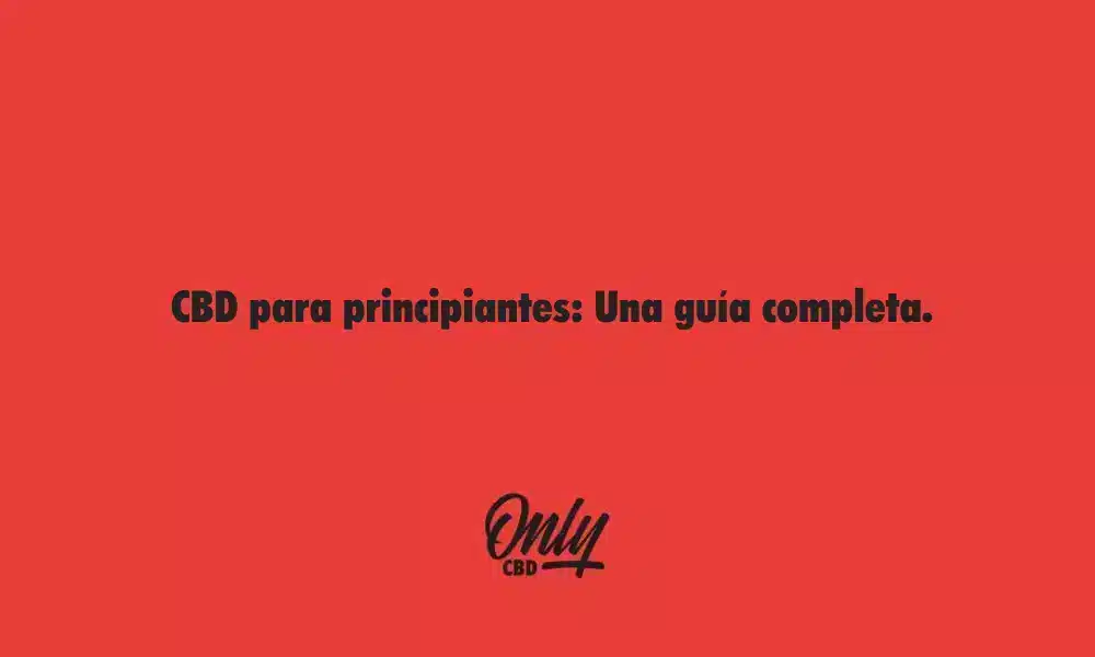 CBD para principiantes: Una guía completa | OnlyCBD™
