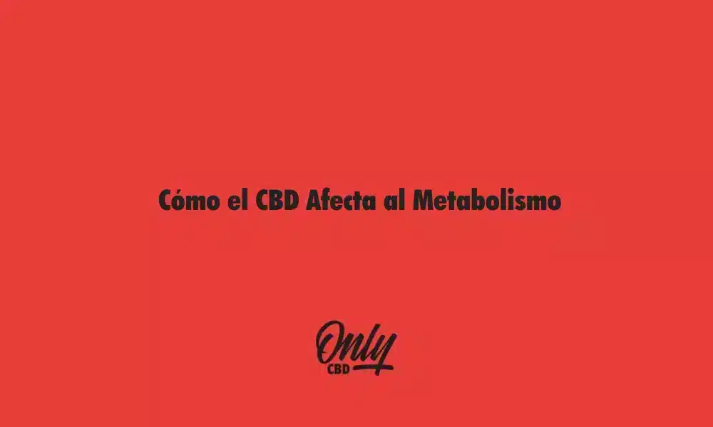 Cómo el CBD Afecta al Metabolismo: Beneficios y Mecanismos | OnlyCBDFans